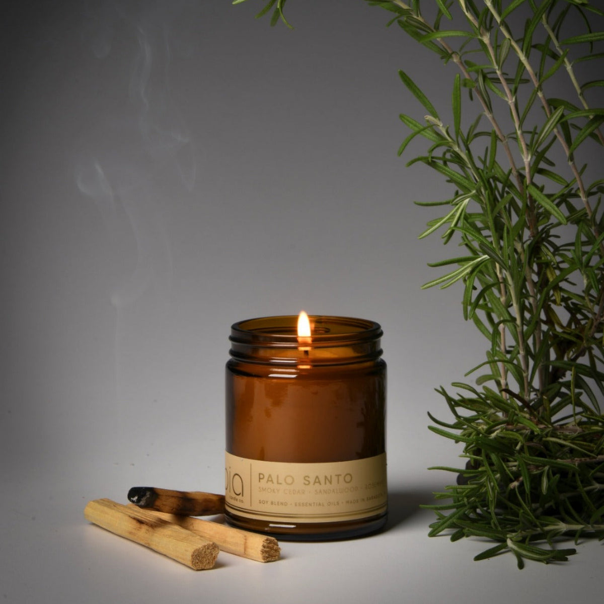 How to Choose Pet-Safe Candles for a Healthy Home? – Bia Candle Co